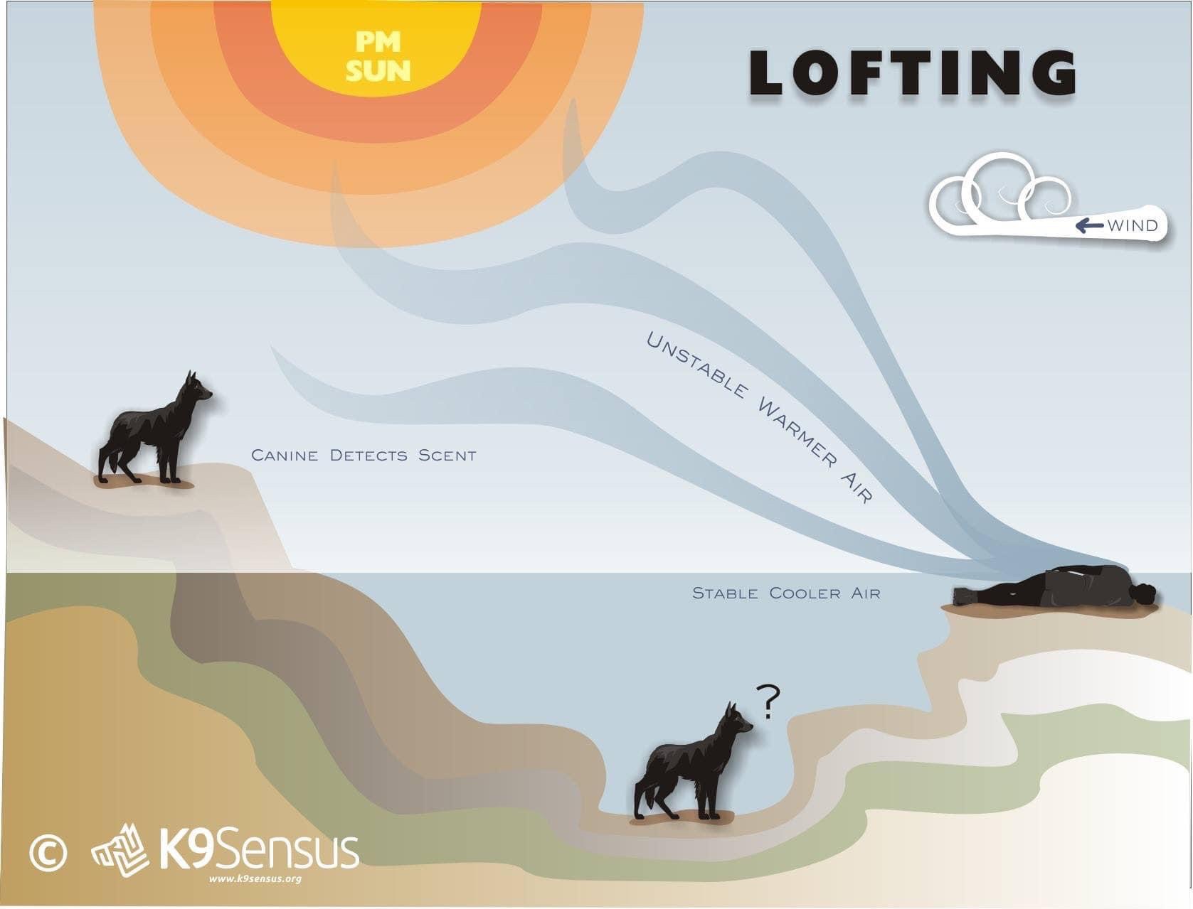 Scent, Odor, Movement, and Materials – Candid Canine Training