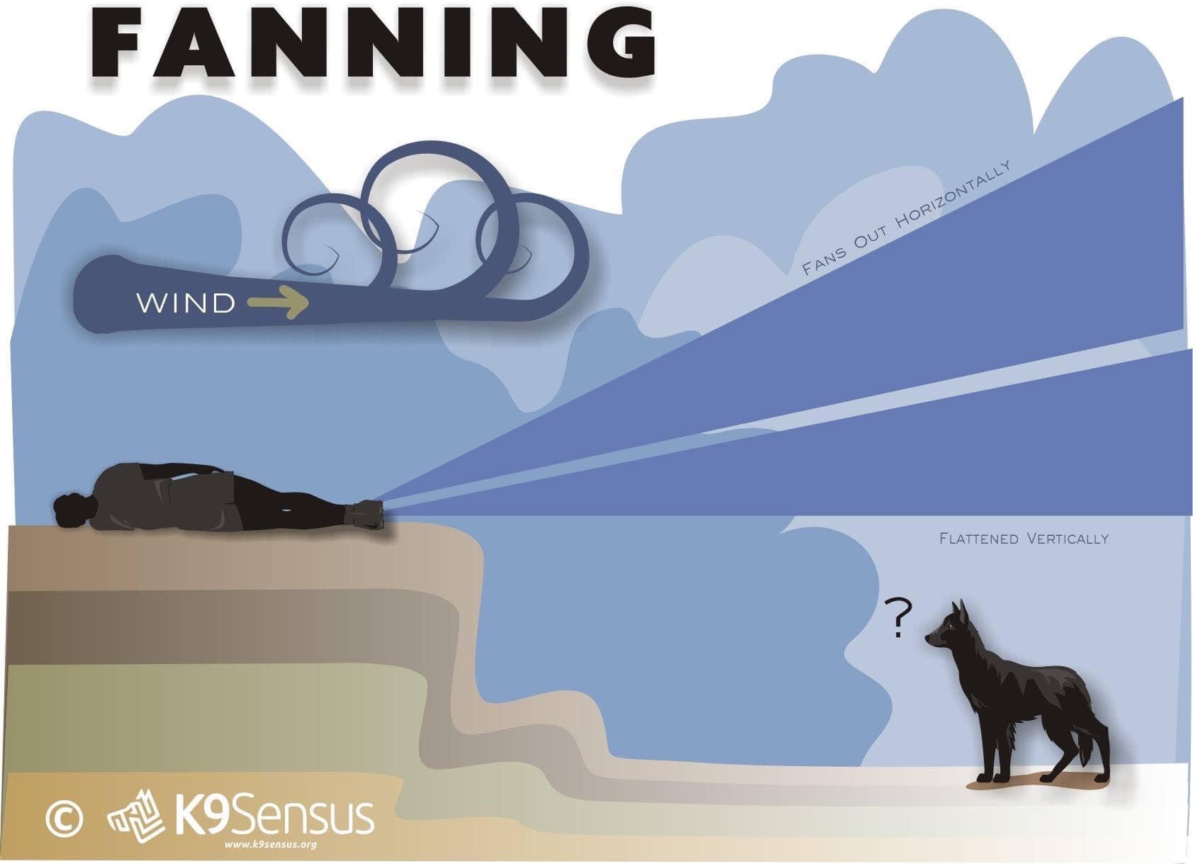 Scent, Odor, Movement, and Materials – Candid Canine Training